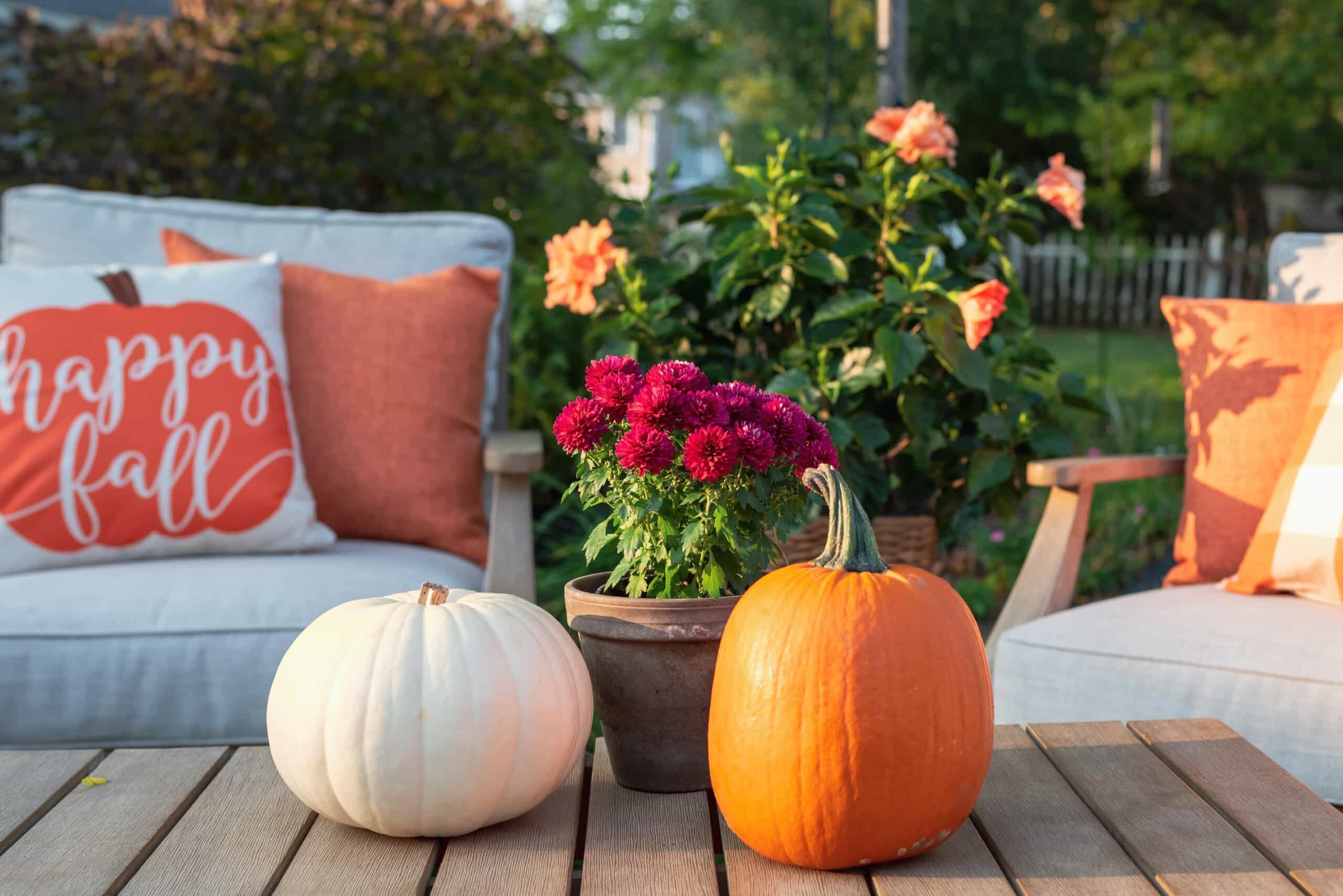 Hardscape Projects for Fall: Why Now is the Best Time to Install Patios ...